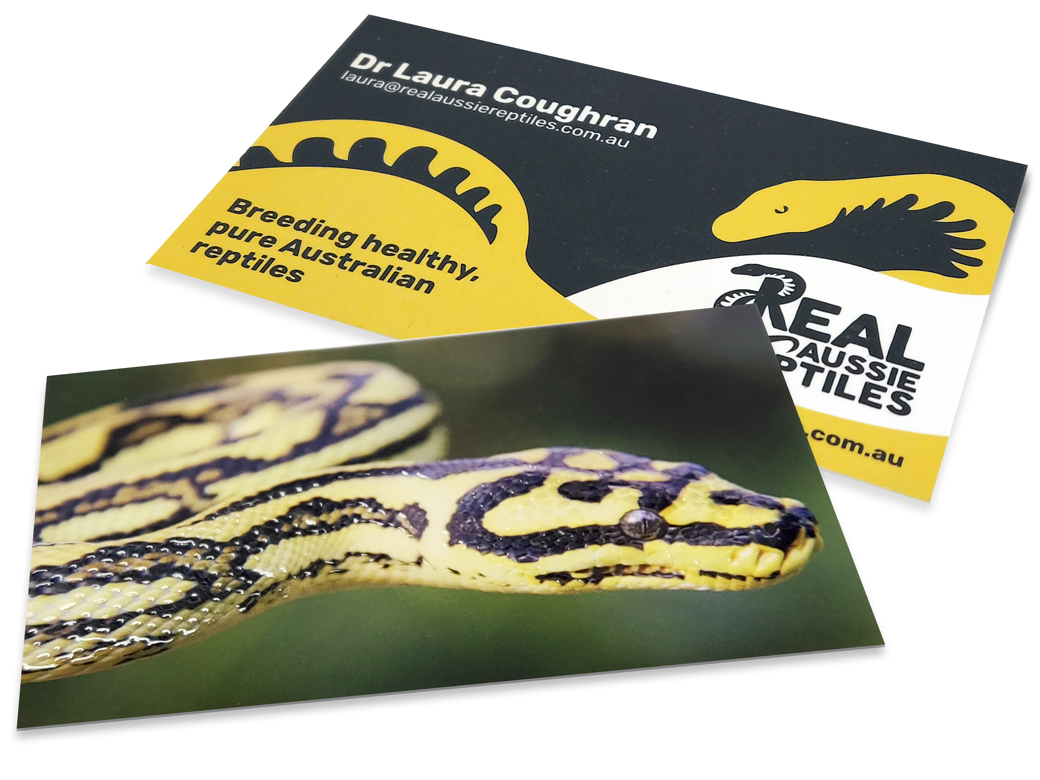 Business Cards | Rogue Print and Mail | Professional Printed Cards